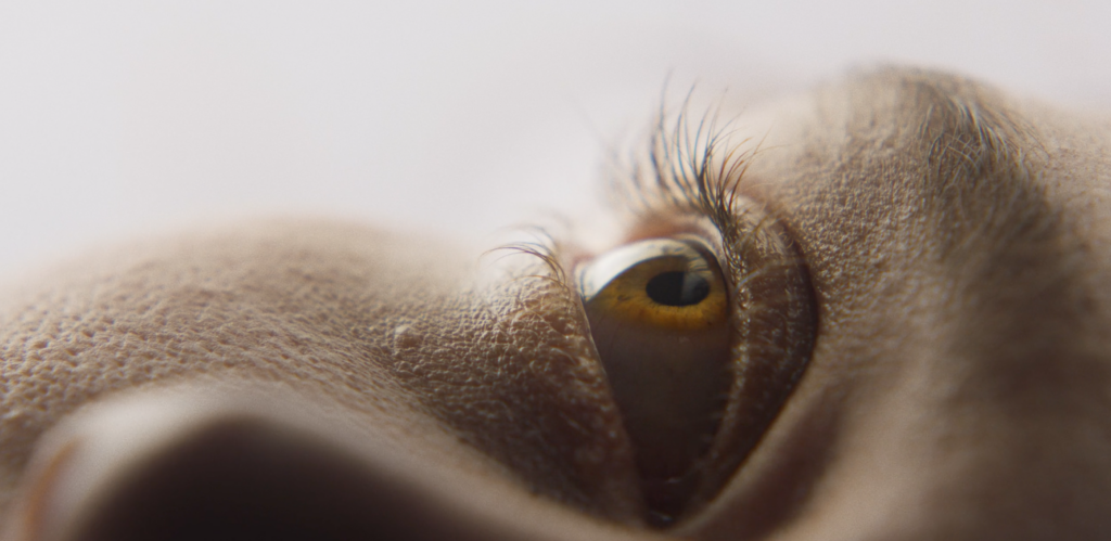 8 Short Films We Love (And 1 We Made) - We Are Tilt